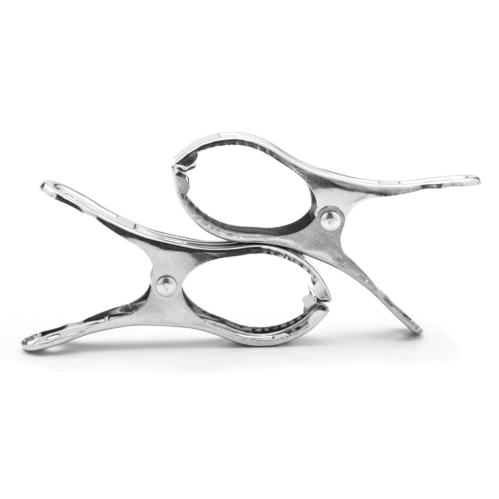 stainless steel laundry clothes clamps – EcoFreax